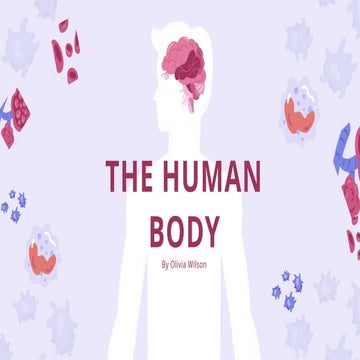 the human body ppt sample template for doctors | PPTX