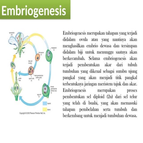 PPT Embriologi Tumbuhan - Perkembangan Embrio dan Biji | PPTX
