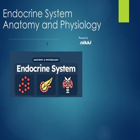 Endocrine System.ppt