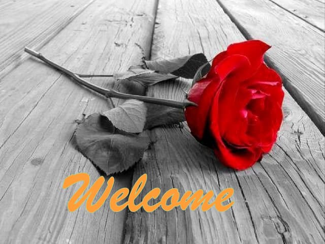 Organisation structure, culture and strategies of wipro | PPTX