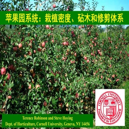 Ppt fruit-apple-tree-orchard-systems-robinson-cornell-2014-chi | PDF ...