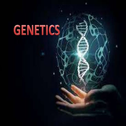 aaaaaaaaaqqaqwqwwwaaaaqqwqqaherdity.pptx