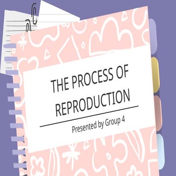 ppt-group-4...pptx process of reproduction | PPTX