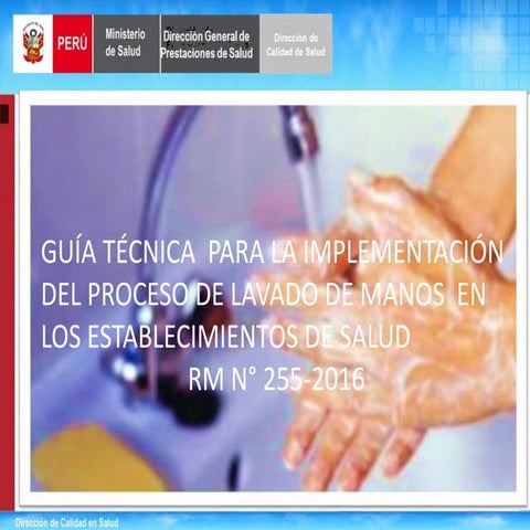 Lavado y sanitización e higiene de manos Eufar | PPTX