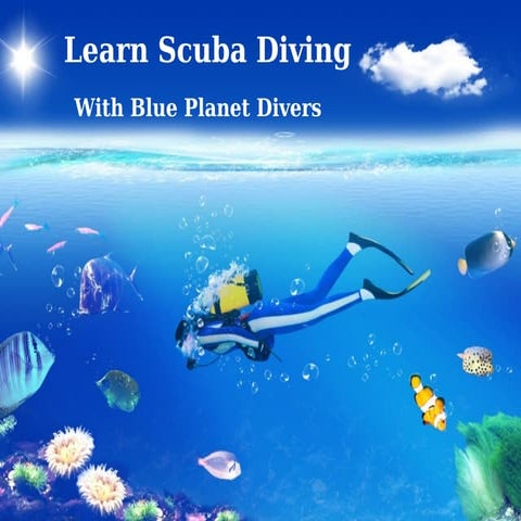 Learn Scuba Diving | PPT