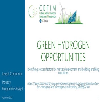 Green hydrogen opportunities: Identifying success factors for market ...
