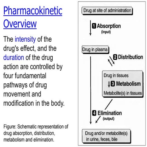 PPT_-_Pharmacokinetics.ppt