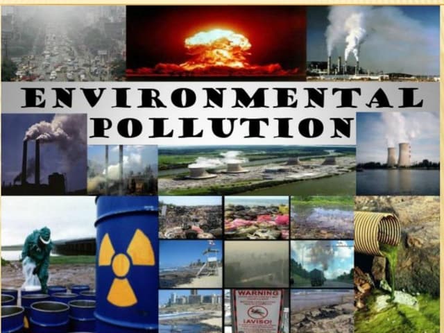 Pollution - Environmental Studies Project | PDF