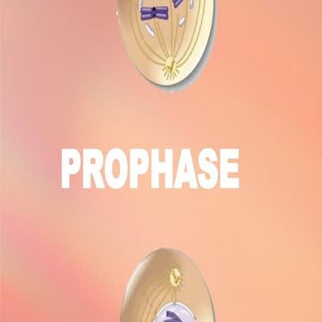 PPT-PROPHASE-SCIENCE-7-GROUP-2 topic.pptx