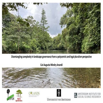 Disentangling complexity in landscape governance from a polycentric and ...
