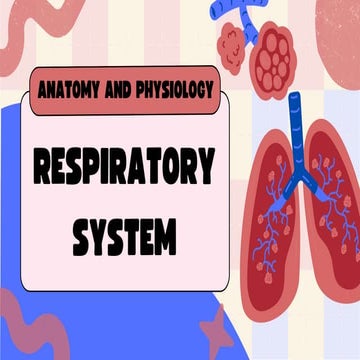 23 [chapter 23 the respiratory system] | PPT