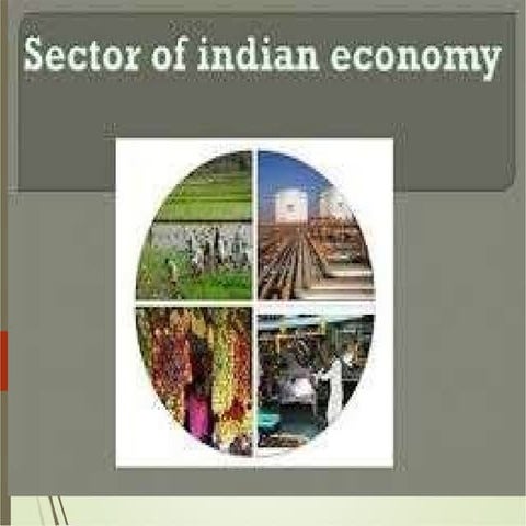 PPT- SECTORS OF INDIAN ECONOMY.pptx class 10 cbse | PPTX