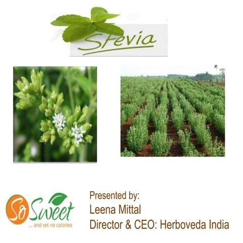 PPT-Stevia.ppt