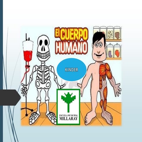PPT-UNIDAD-CONOCIENDO-MI-CUERPO-KINDER.pdf