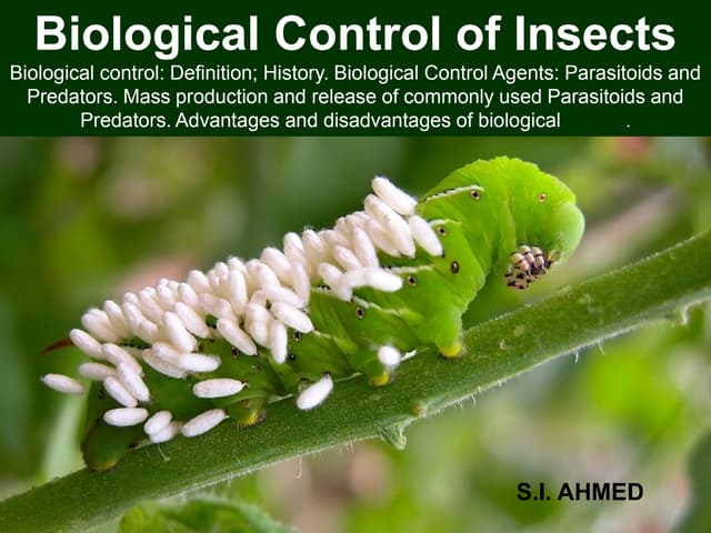 Biological control of pest | PPTX