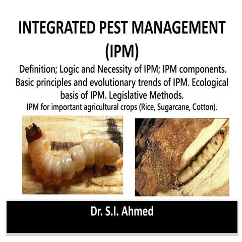 IPM of Forest Insect Pests | PDF