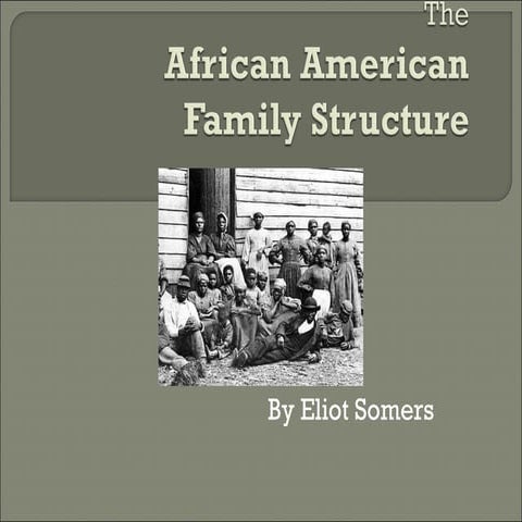 African American Family Structure Life Skills Study – Biobehavioral