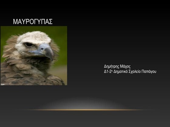 Κόκκινο ελάφι | PDF