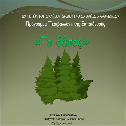 Το δάσος | PPT