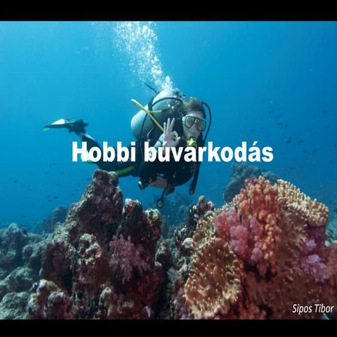 Búvárkodás hobbi szinten | PPT