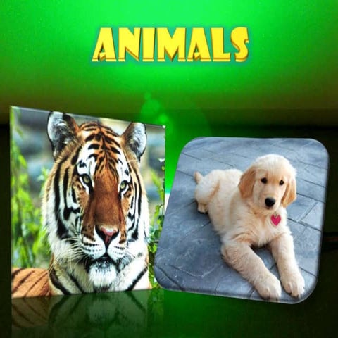 PPT. WILD ANIMALS (SCIENCE 2º P) | PPTX