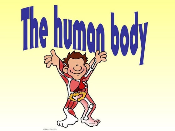 The body | PPT
