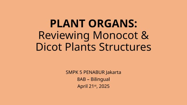 monocot_vs_dicot.ppt presentation on types of seed | PPT | Gardening ...