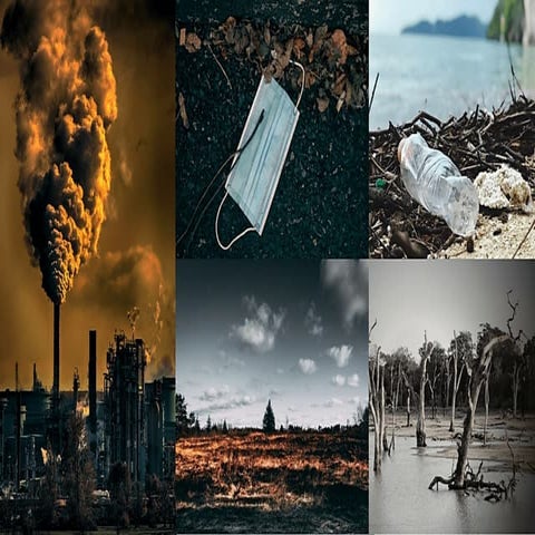 Environmental Issues & Problems includes.pptx