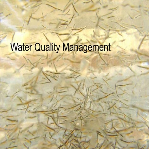 Comprehensive Guide to Aquaculture Water Quality Monitoring Tools and ...