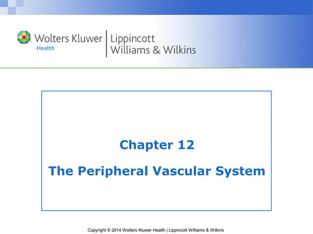 The Pulse and Deep Tendon Reflex Grading Scale | PPTX
