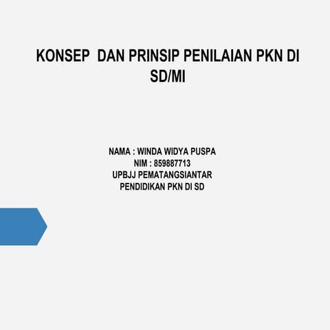 PPT 12 PKN.pptx