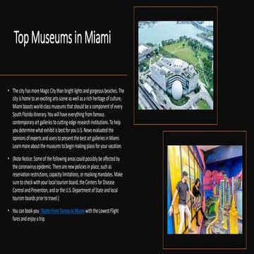 Top Museums in Miami | PDF