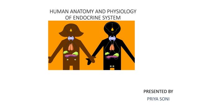 Endocrine System (Hormones in Animals/WBBSE)) | PPTX