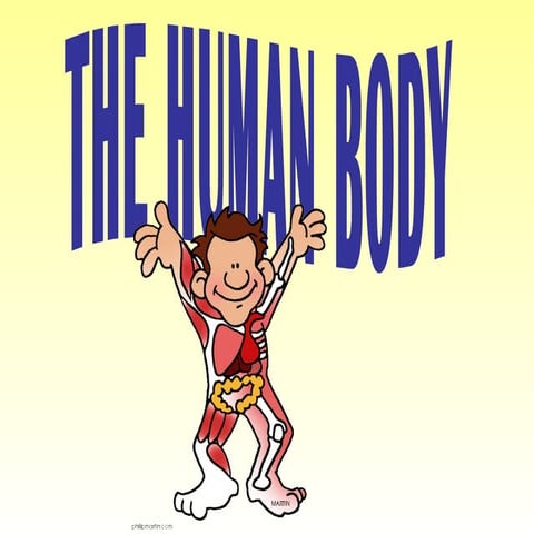 THE BODY PARTS PPT | PPTX
