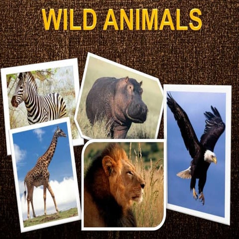 PPT. WILD ANIMALS (SCIENCE 2º P) | PPTX