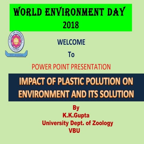 beat plastic pollution Ppt (2) | PPT