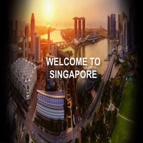 travel assignment on singapore | PPTX