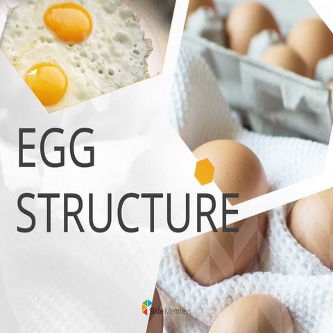 PPT Lesson 2 tle 10 Egg Structure.pptx