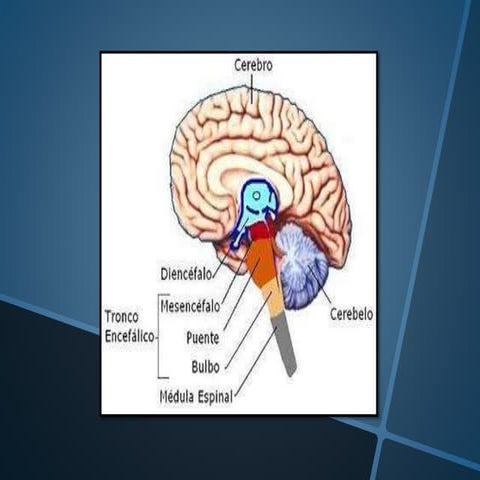 Ppt 3 | PPTX