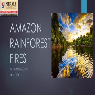 The Amazon Rainforest | PPT