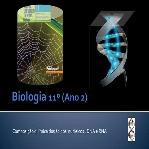 Ppt 3 Dna, Um PolíMero De NucleóTidos Em Dupla HéLice | PPTX