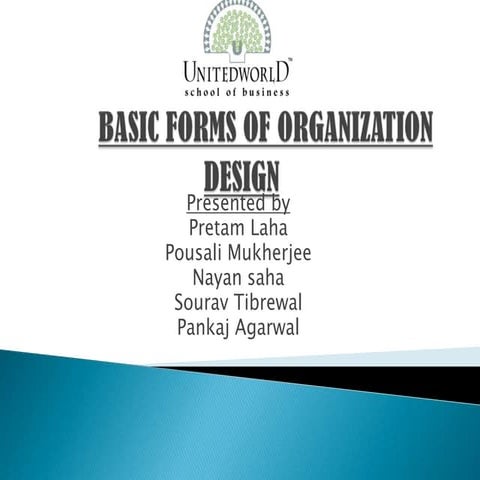 Presentation on Basic forms of Organizations Design | PPTX