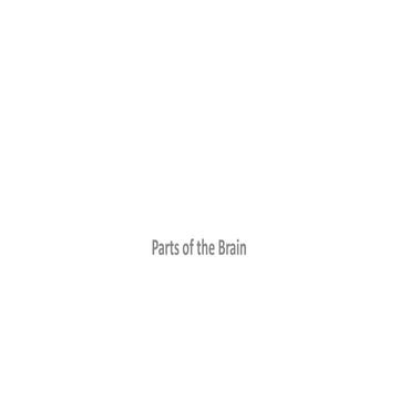 ppt (5).ppt brain parts anatomy of bs mls | PPT