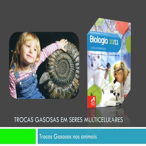 Ppt 5 Trocas Gasosas Em Seres Multicelulares (Animais) | PDF