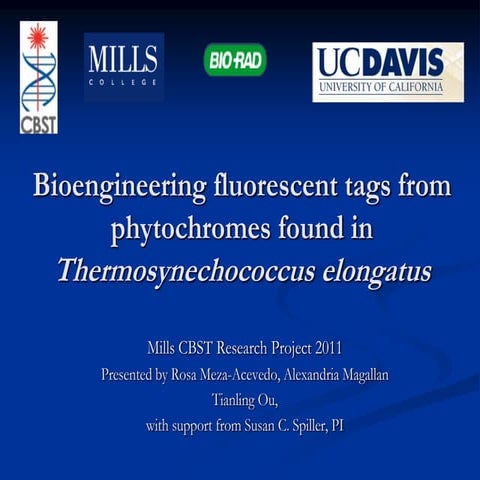 Congreso de Biotecnología Arequipa Perú June 2011 | PPT