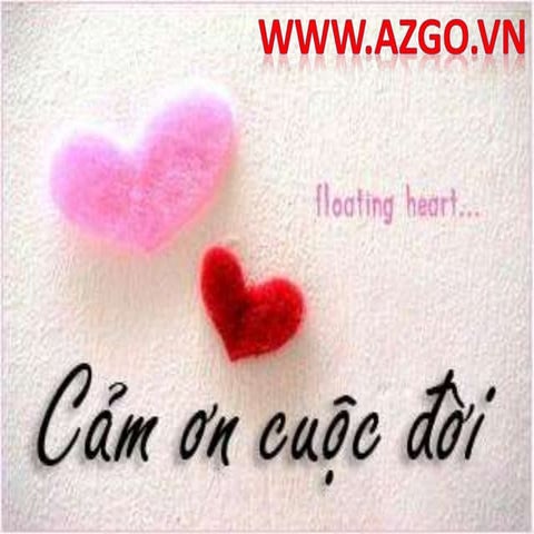 Cam On Cuoc Doi | PPT