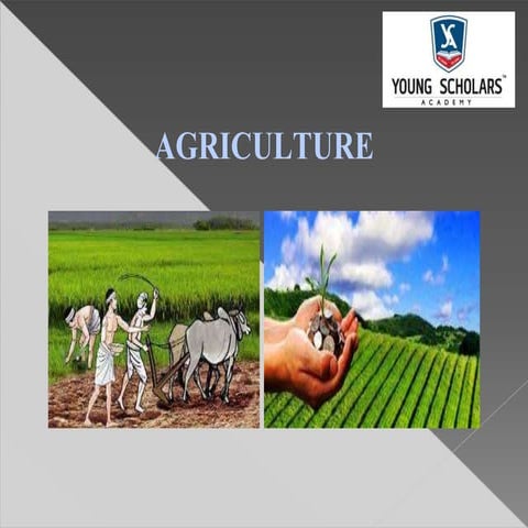 ppt8thagriculture-200508045830......pptx