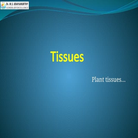 TISSUES Class - 9th | PPTX