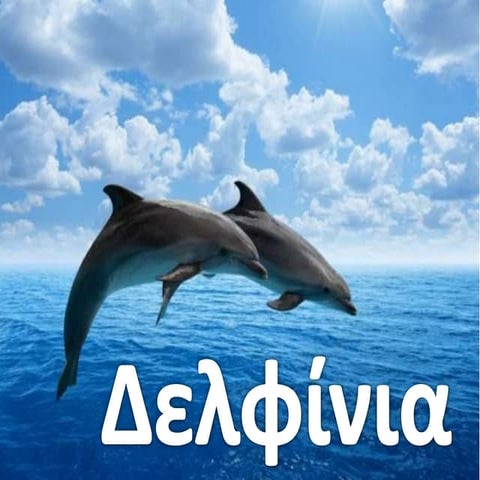 Δελφίνια | PPTX