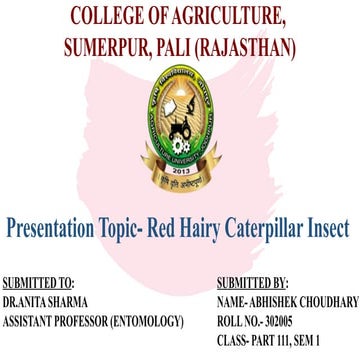 red hairy caterpillar and its management | PPTX